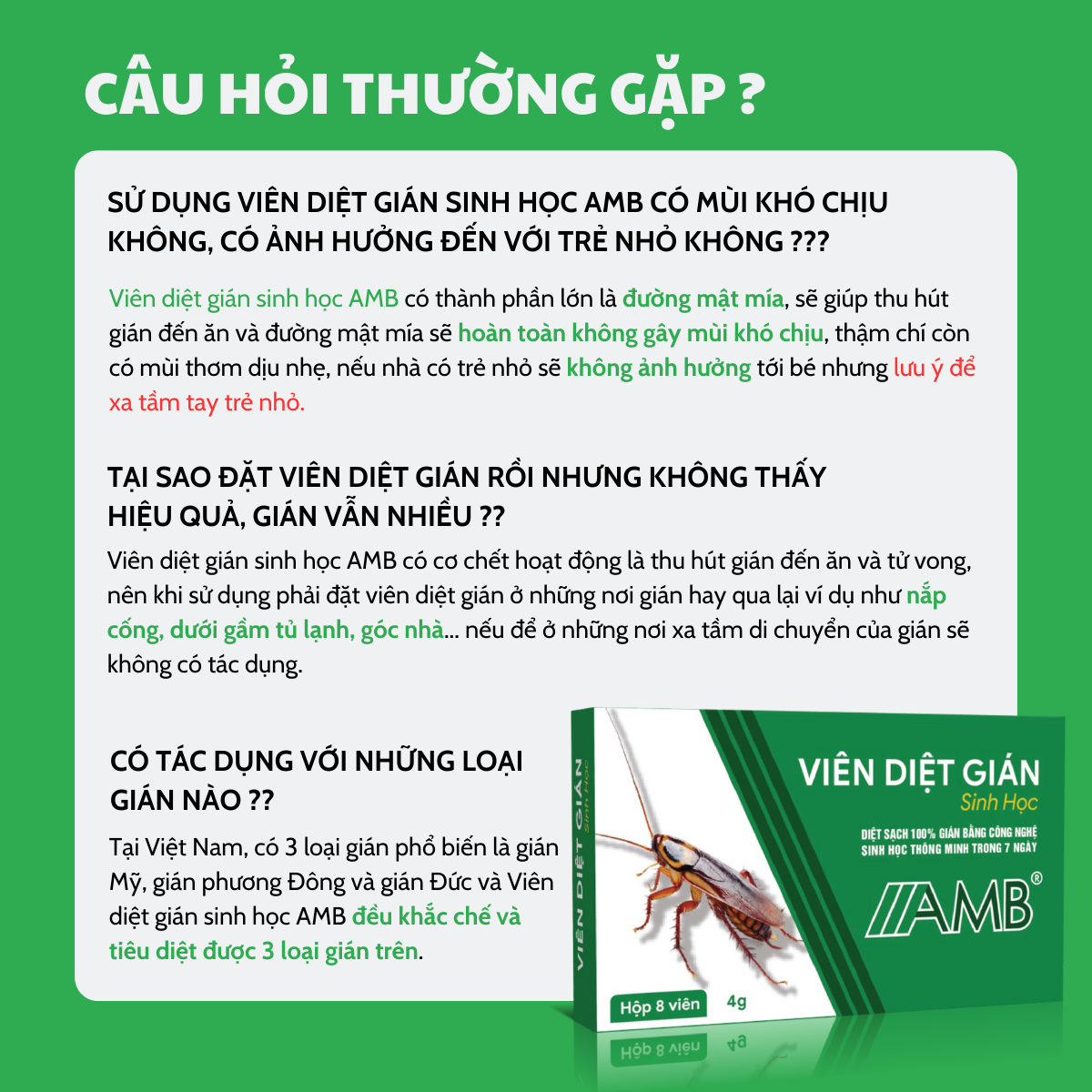 AMB biological ant and cockroach killer, box of 8 cockroach killer ...