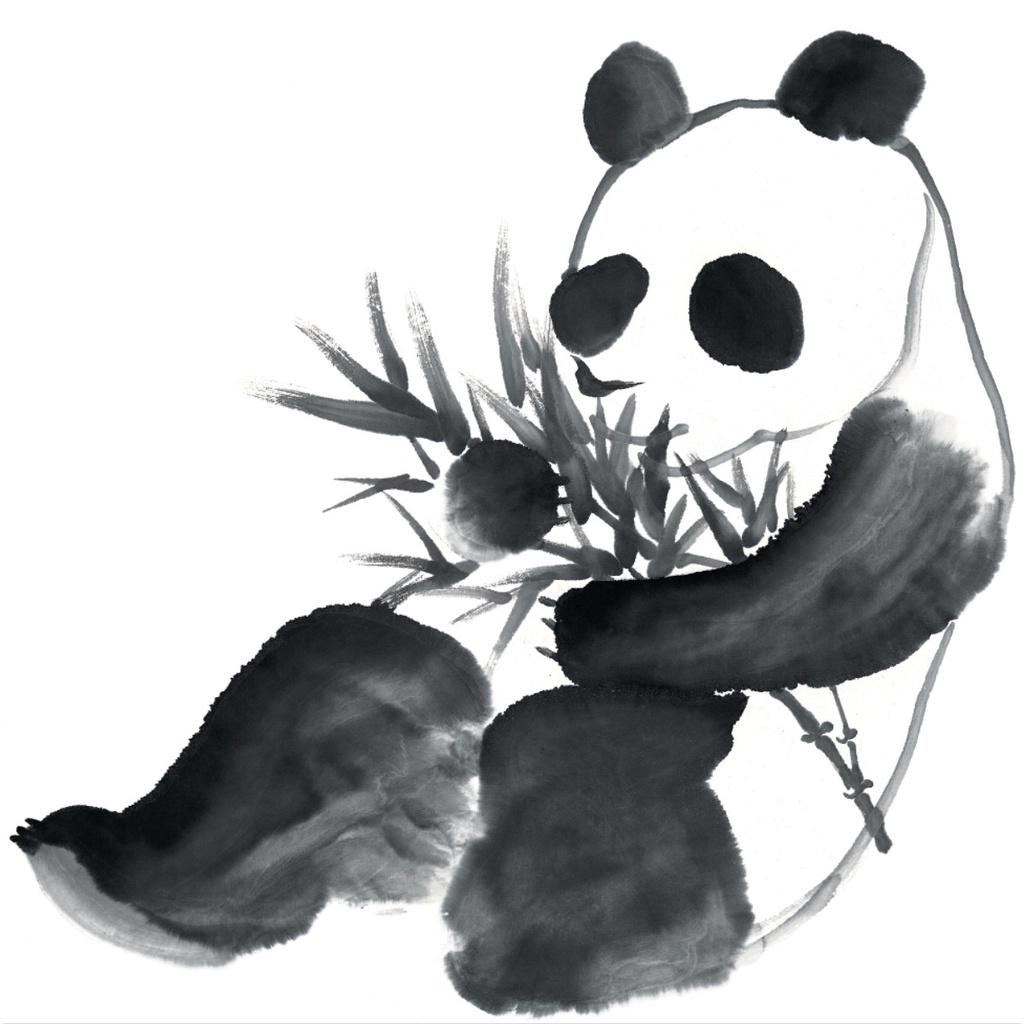 Visual Stimulating Watercolor Picture Book Set for Children - Baby's ...