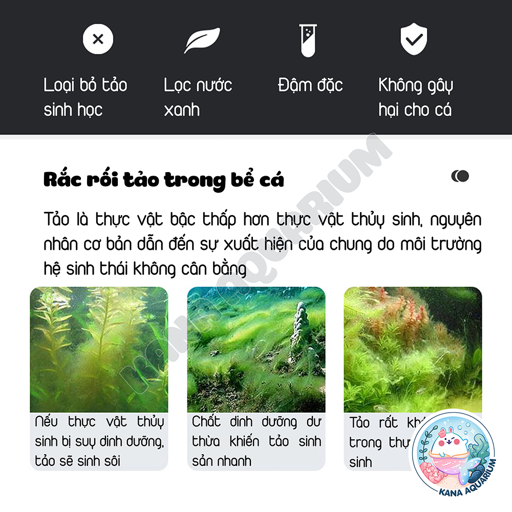 Algaecide Prevents Algae YEE Algae To Limit Algae Safe And Harmless ...