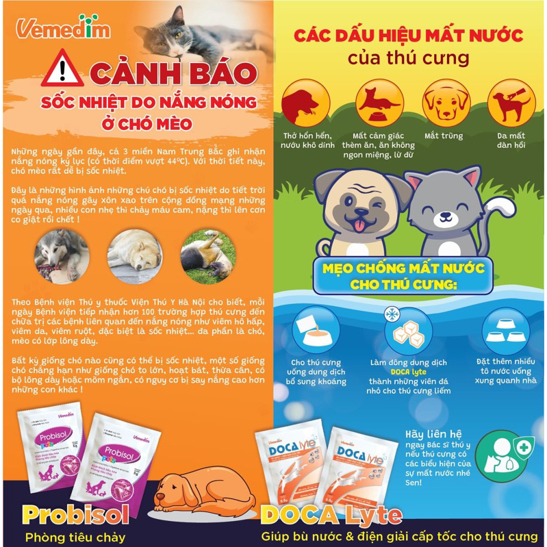 Docallyte Vemedim Rapid Hydration and Electrolyte Rehydration for Dogs ...