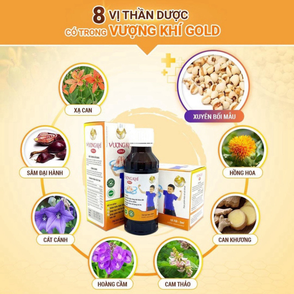 [BOX Of 20 BOXES - Siro FORM] GOLD Cough Syrup for Children Cough ...