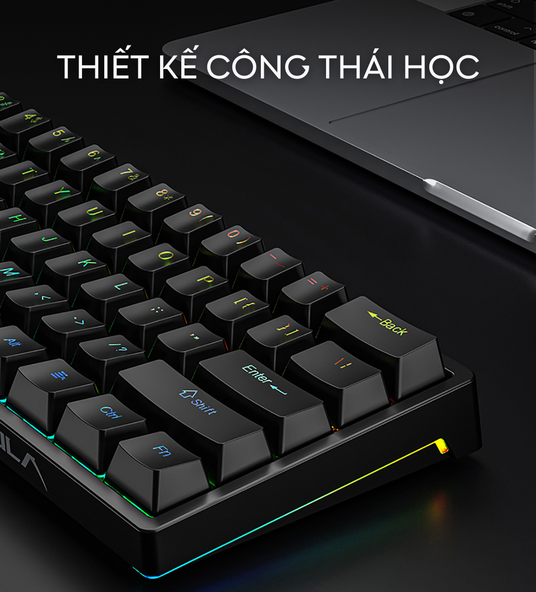 Aula F3261 Blue Switch Mechanical Gaming Keyboard, Layout 61 Type C LED ...