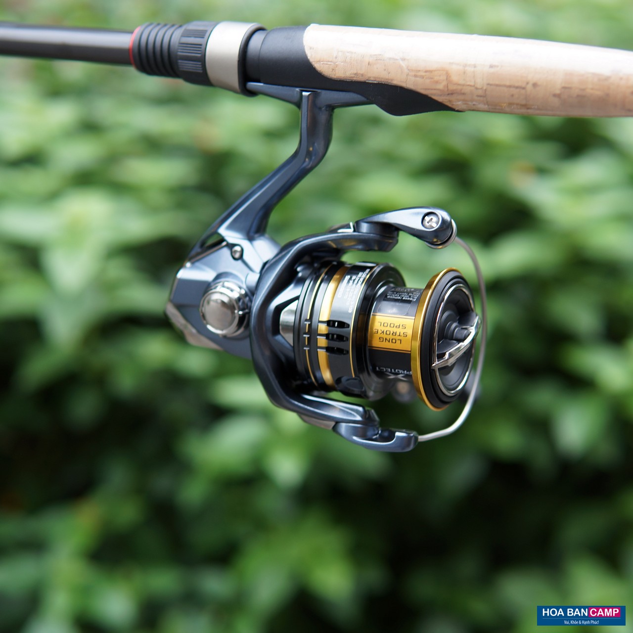 Shimano 21 Ultegra Vertical Fishing Reel | Hagane Gear, MicroModule II ...