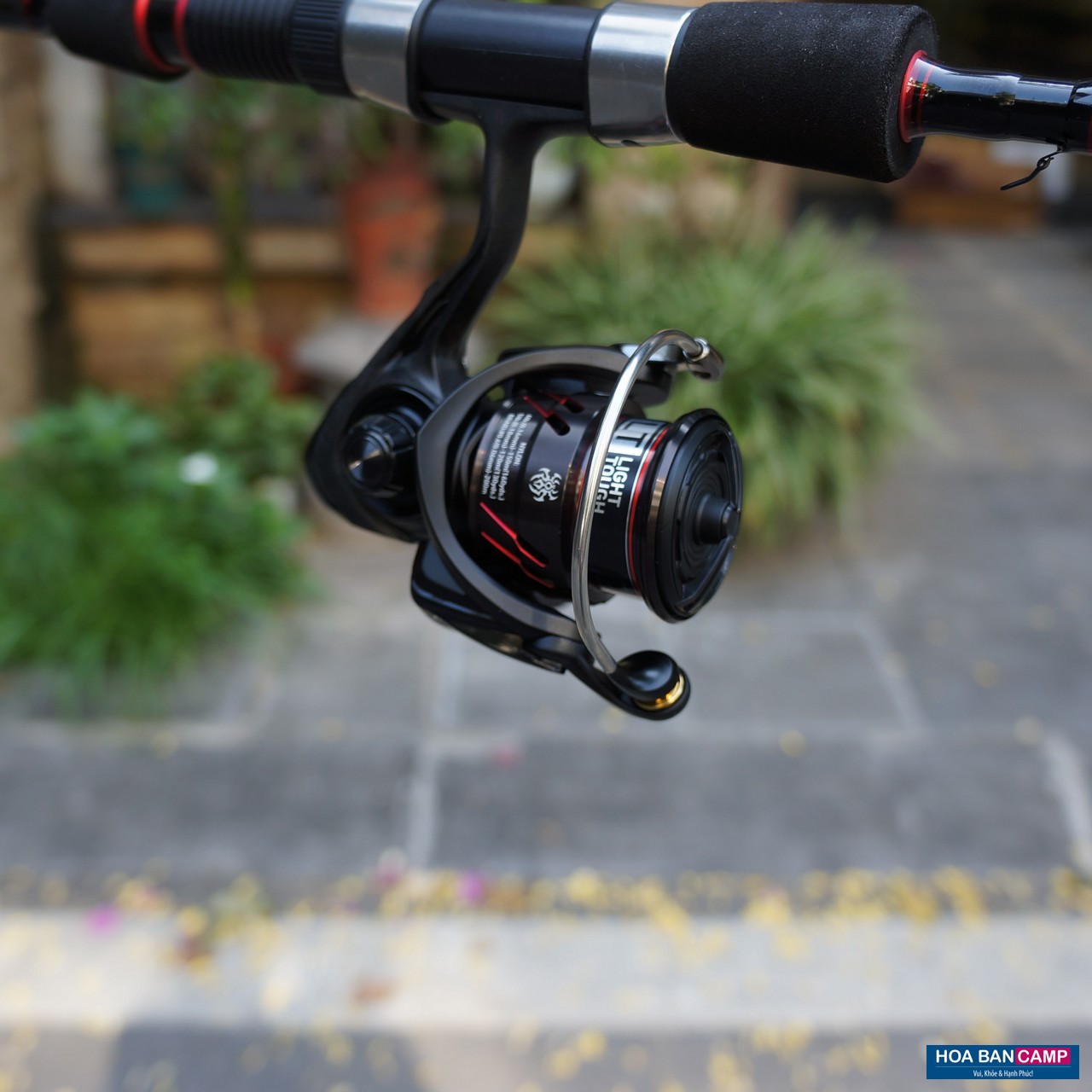 Daiwa Tatula LT Vertical Fishing Reel | 19 - Air Rotor, DigiGear, ATD ...