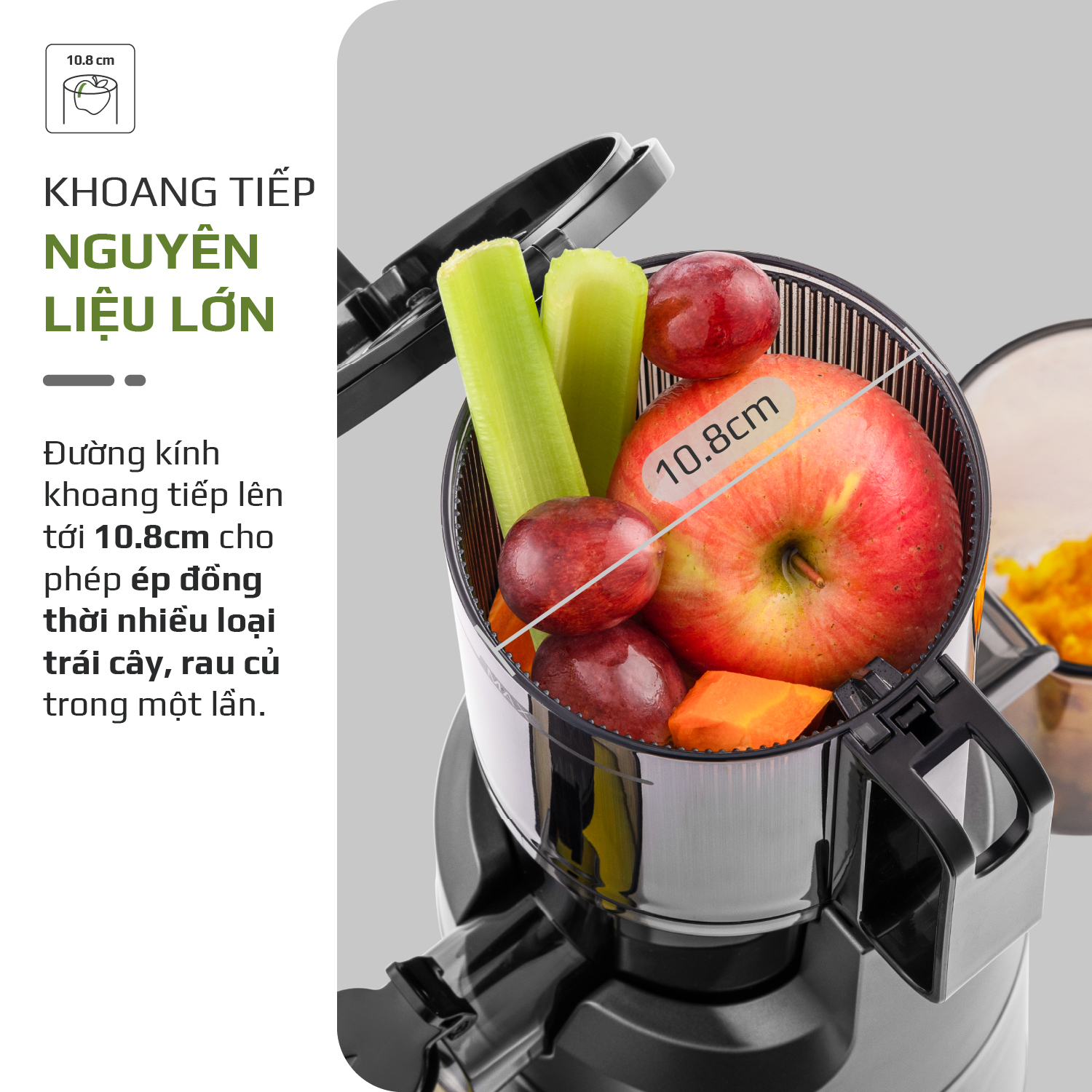 Olivo SJ240 Slow Press Machine, Whole Juice, Squeeze Vegetables And ...