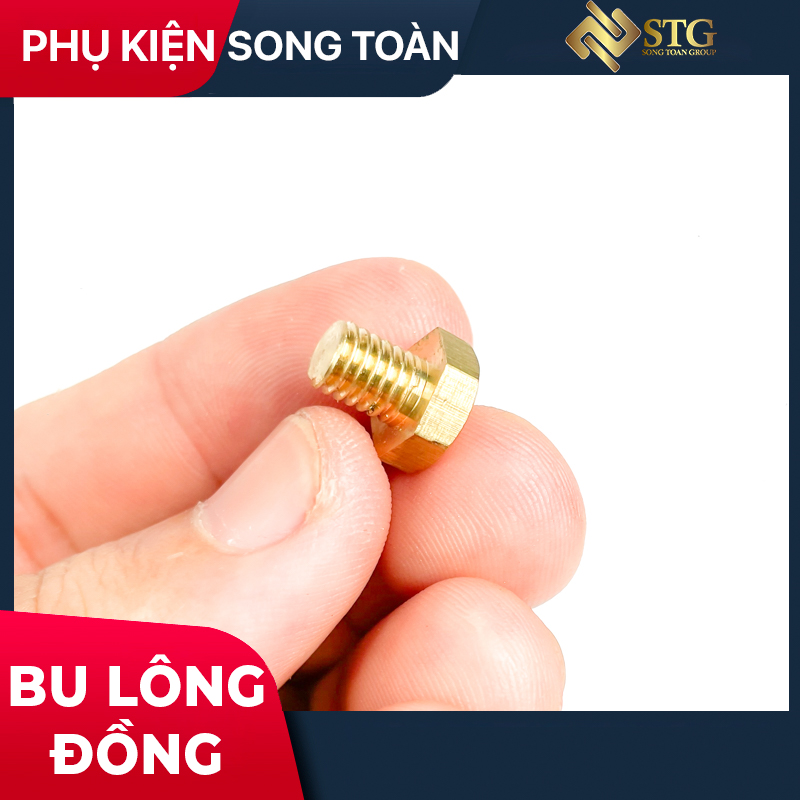 M5 Brass Bolts, M5 Threaded Screw Heads 14mm Long (Bag of 10) Brass ...