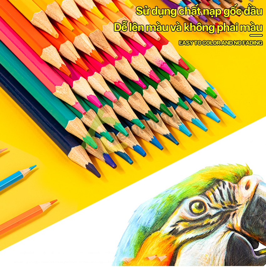 Salay colored pencil set, colored pencils, dark colored pencil set for ...