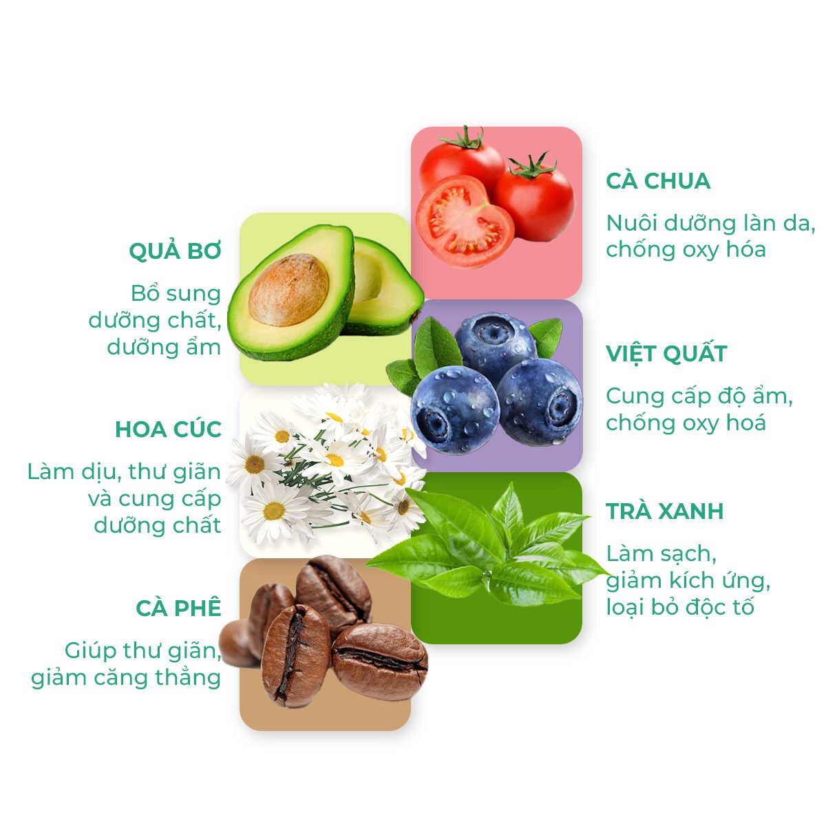 [COMBO 10] Purederm collagen paper mask with Green Tea extract 18g ...