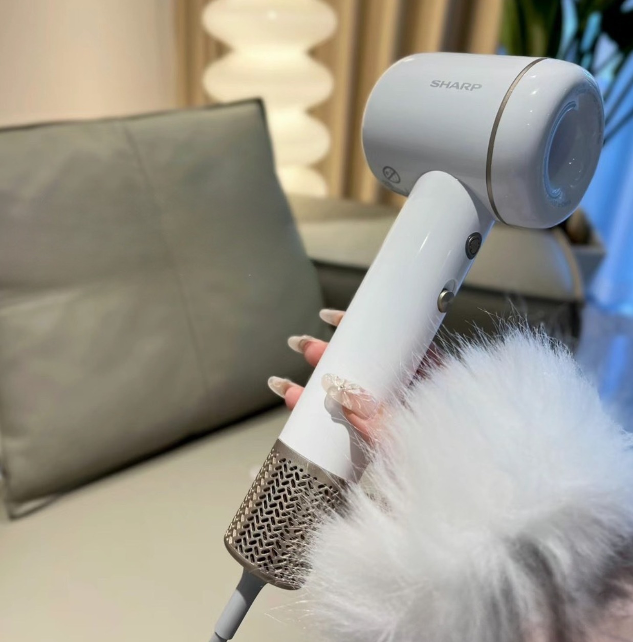 SHARP ION HIGH SPEED HAIR DRYER, WIND SPEED 252KM/H | Shopee Malaysia