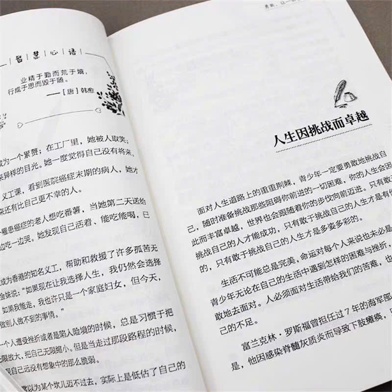 Chinese book - If you're not brave, who will be strong for you (Chinese ...