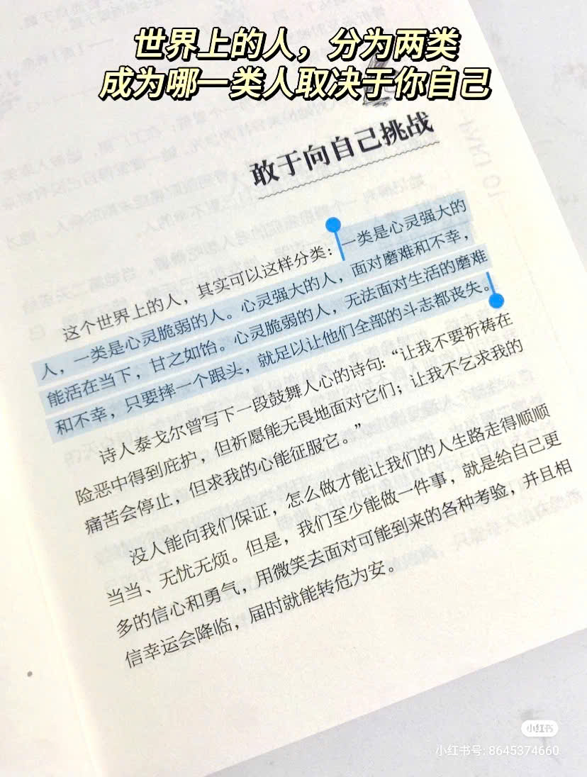 Chinese book - If you're not brave, who will be strong for you (Chinese ...