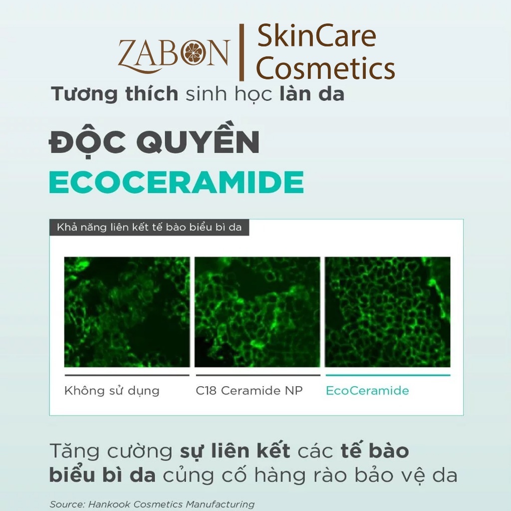 Combo of 2 Moisturizing Creams to Support Skin Recovery B5 CICA ...