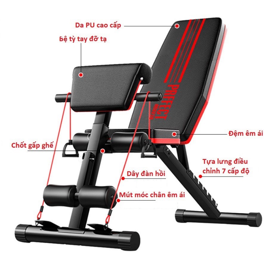 Multifunctional Gym and Weight Training Chair to Support Arm, Biceps ...