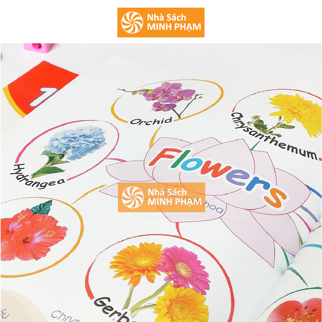 Book - Set of 2c Mindmap to Conquer English Vocabulary According to ...