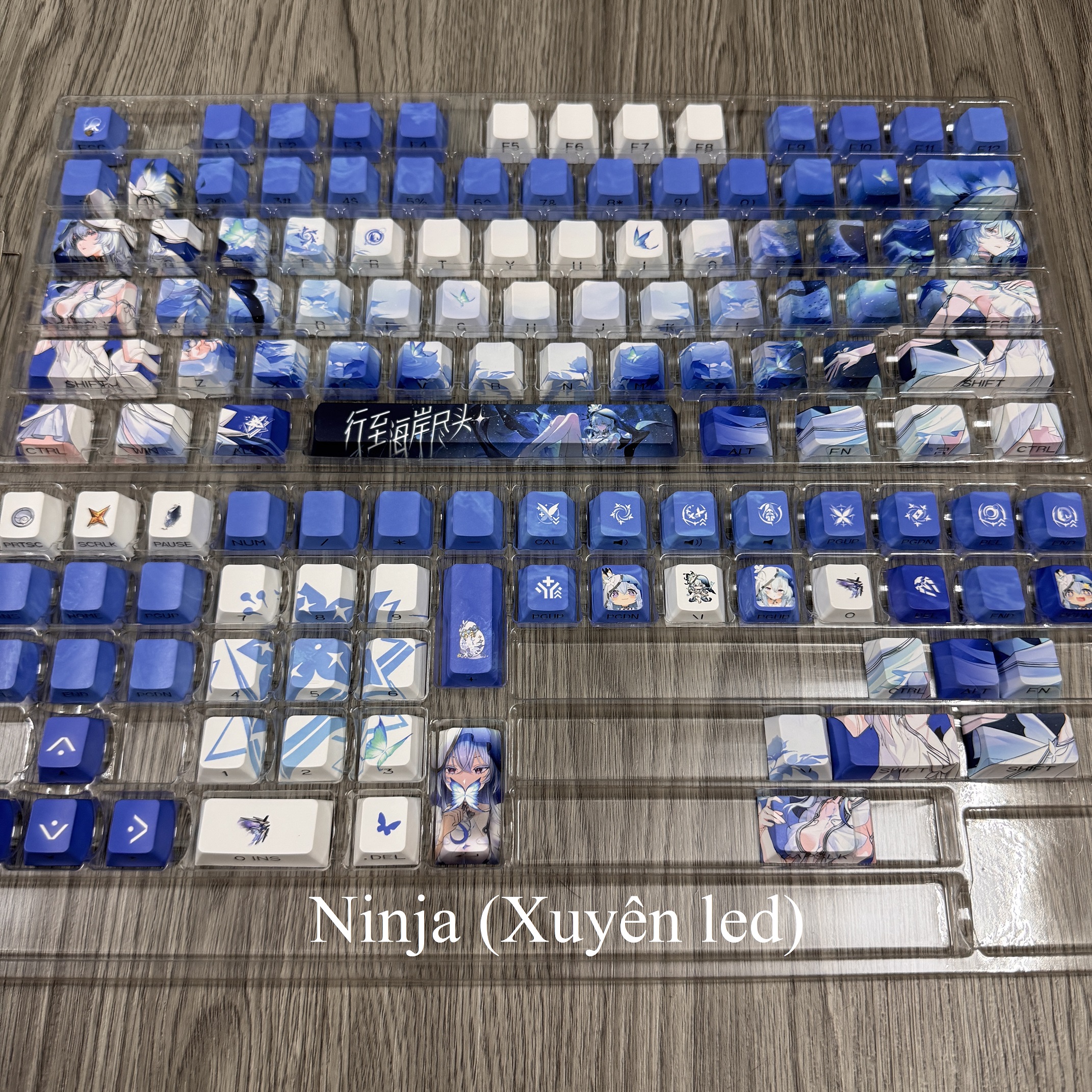 Wuthering Waves Shorekeeper thick PBT Keycap through led in dyesub 5 ...