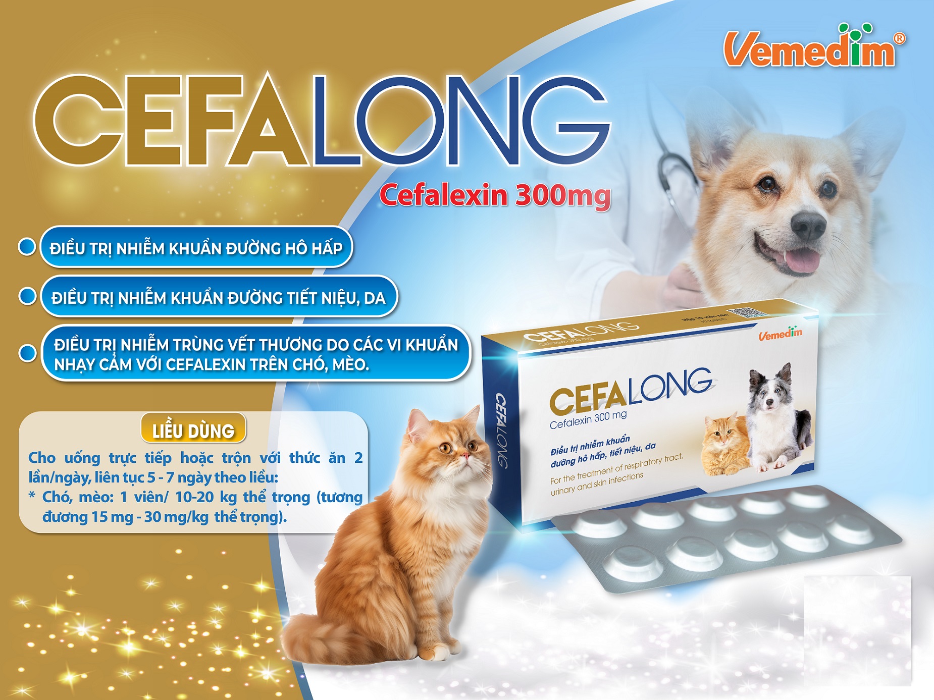 Vemedim CEFALONG Treats Respiratory, Urinary, Skin and Wound Infections ...