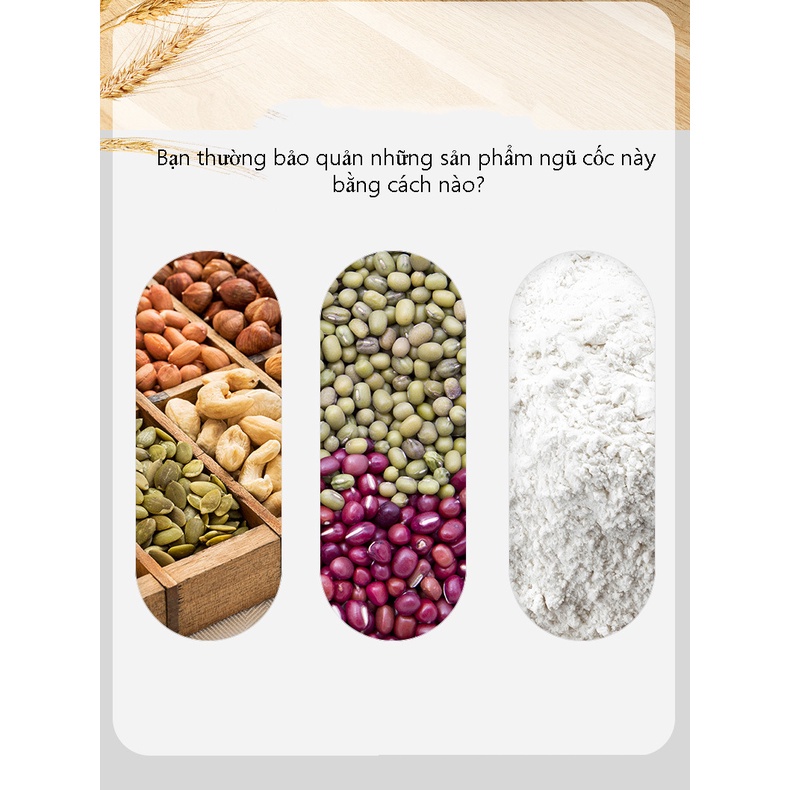 Ecoco Premium Rice Container, Rice Container with Silicone Edge ...