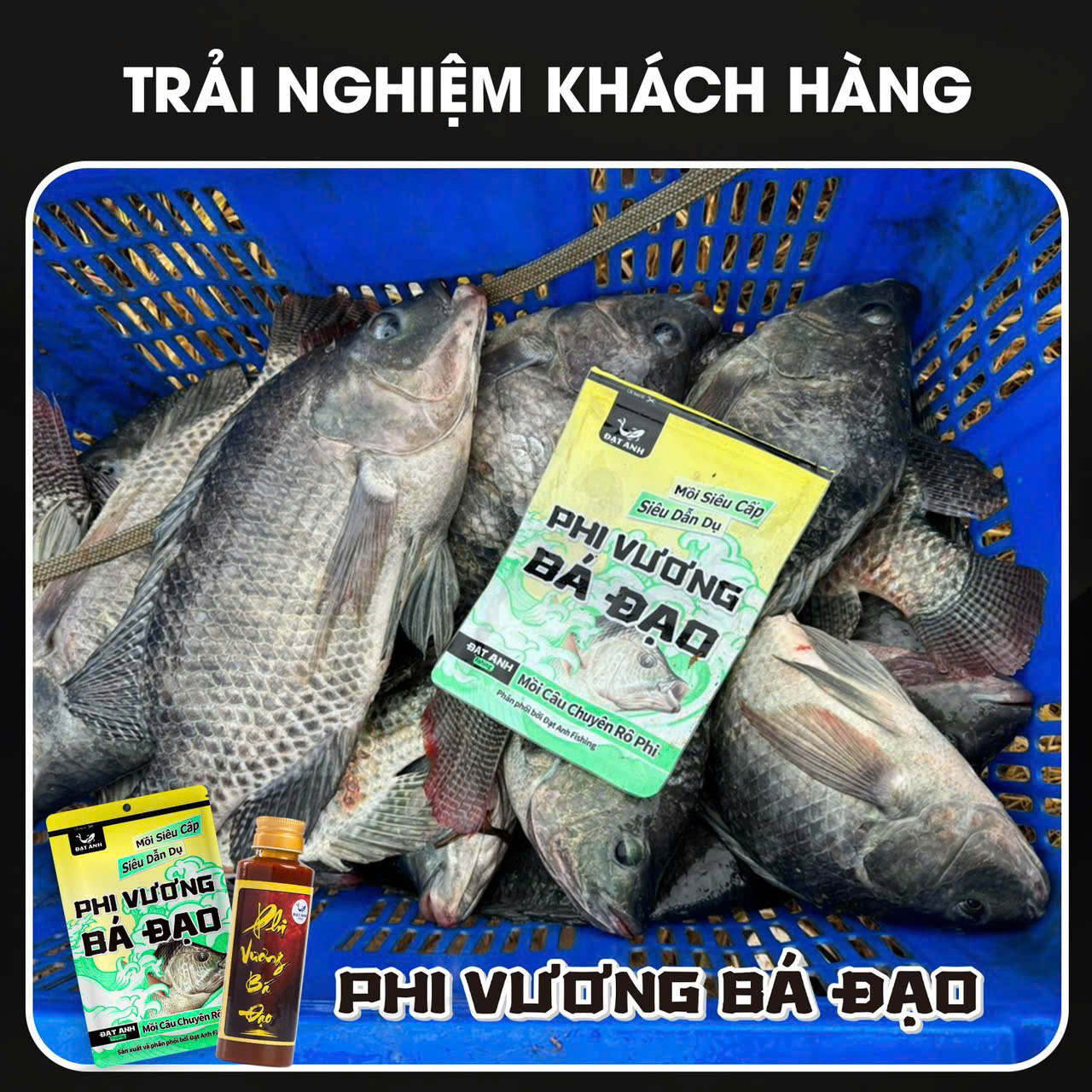 King Ba Dao Tilapia Fishing Lure Specialized in Tilapia Attracts Fish ...