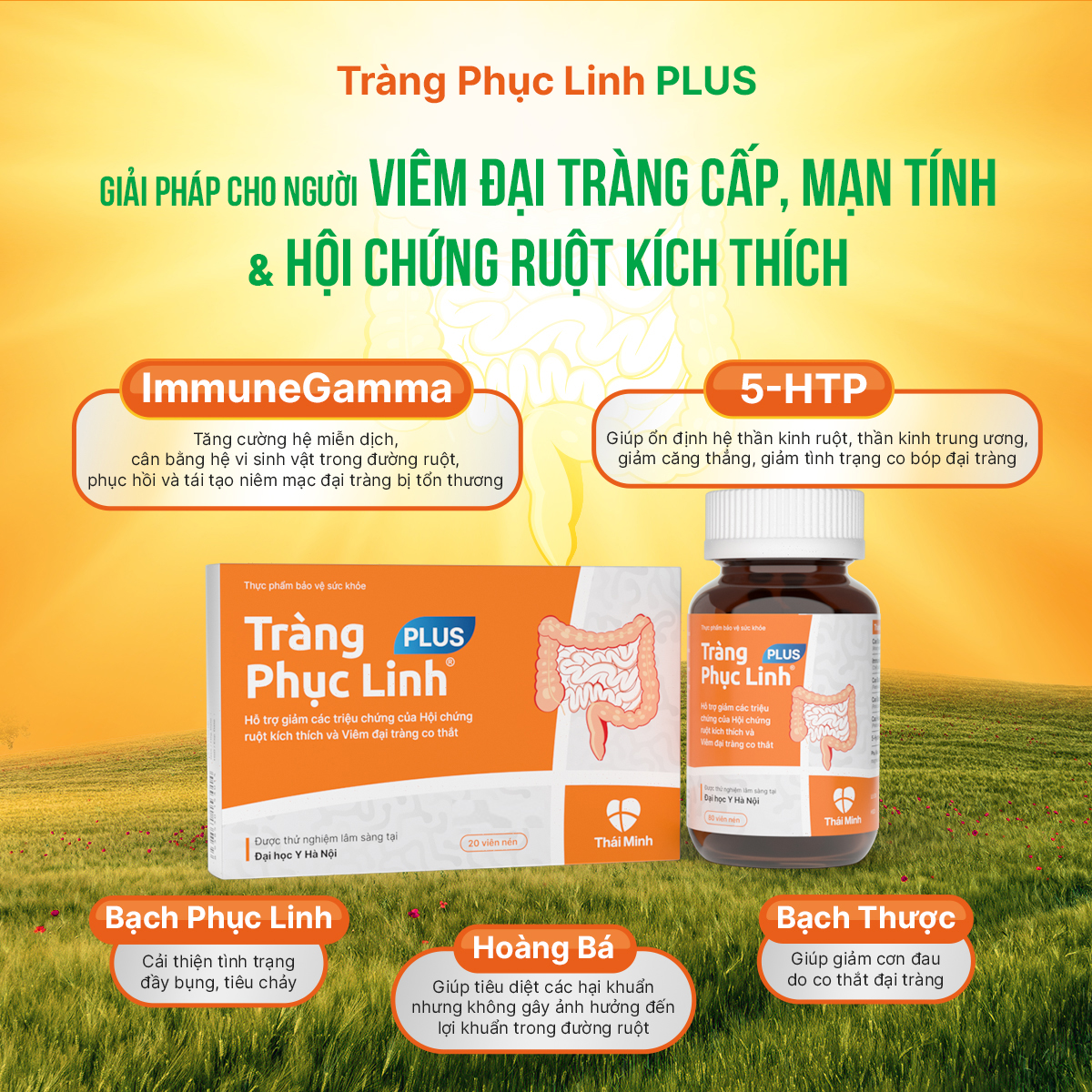 Trang Phuc Linh PLUS Thai Minh - Supports irritable bowel syndrome ...