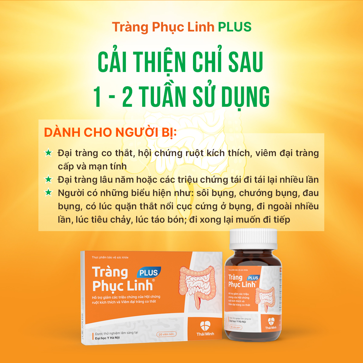 Trang Phuc Linh PLUS Thai Minh - Supports irritable bowel syndrome ...