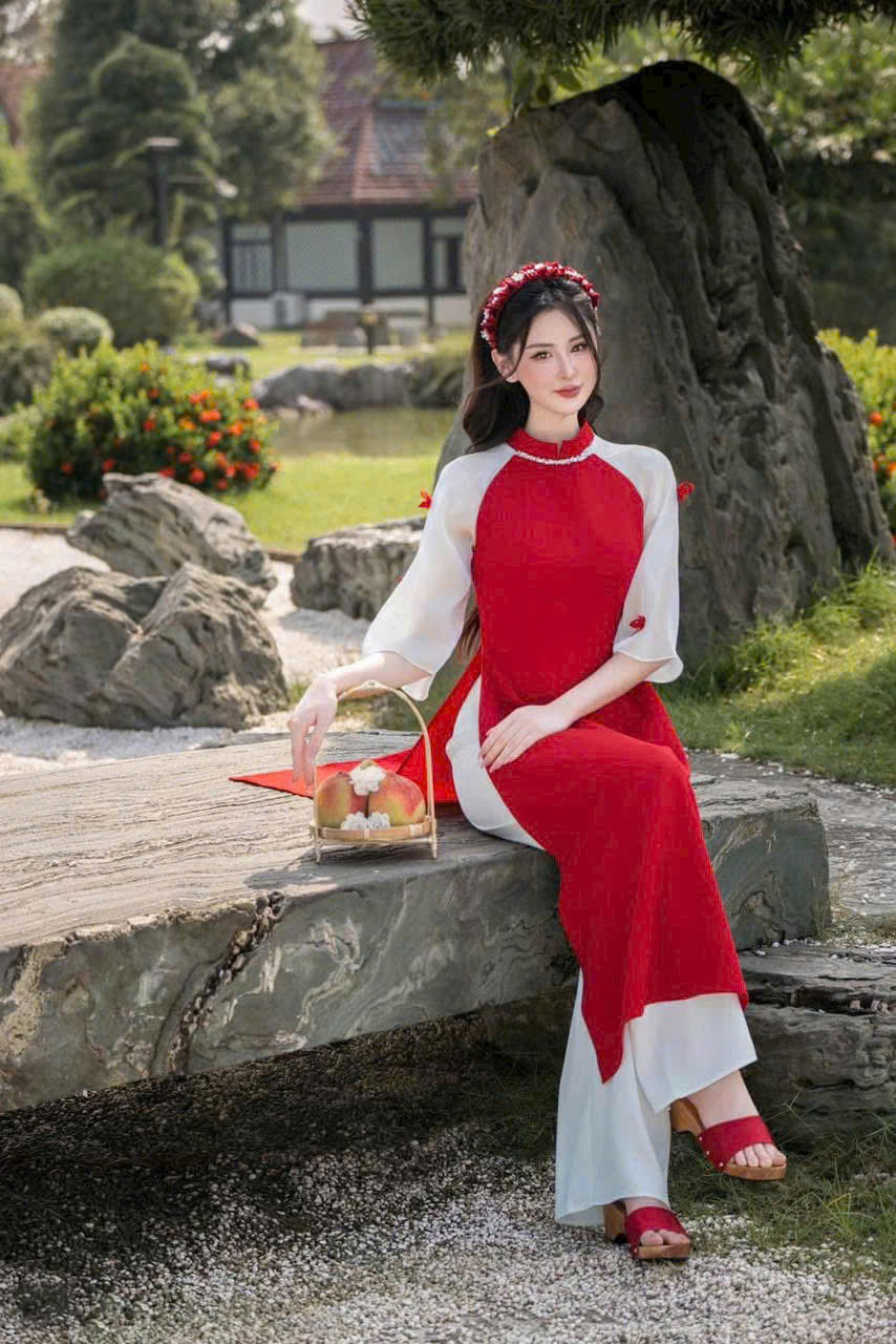 Ao dai set to wear CNY 2025, made of soft velvet, beaded collar, cool ...