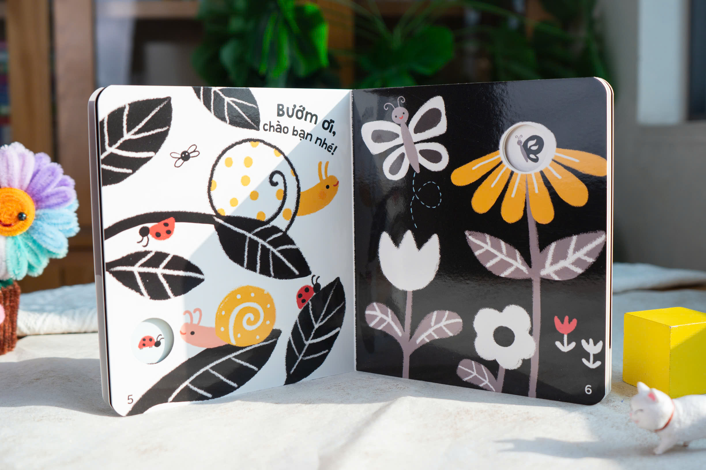 Visual stimulation books (Many topics) | Shopee Malaysia