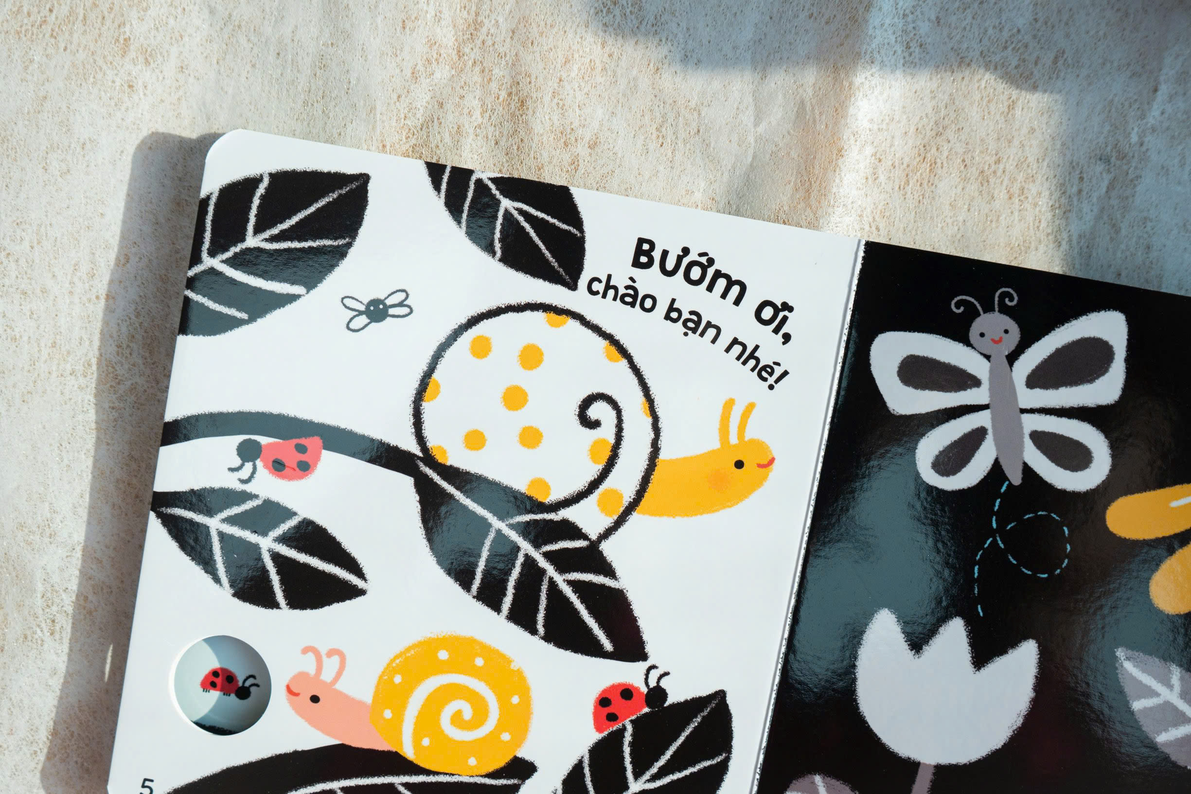 Visual stimulation books (Many topics) | Shopee Malaysia