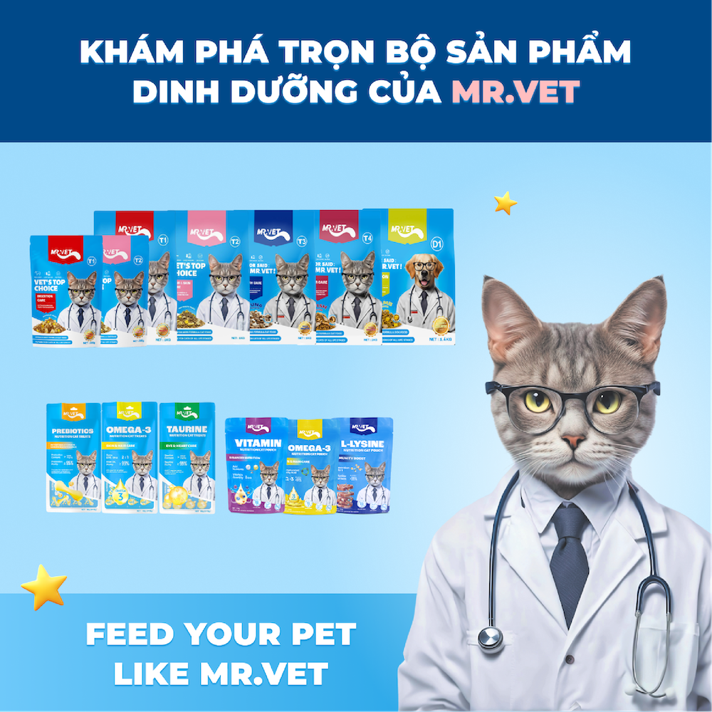 Mrvet T2 Cat Food Combo 7 Packs 1KG Enhanced Omega 3 Skin Care and Coat Care for Cats of All ...