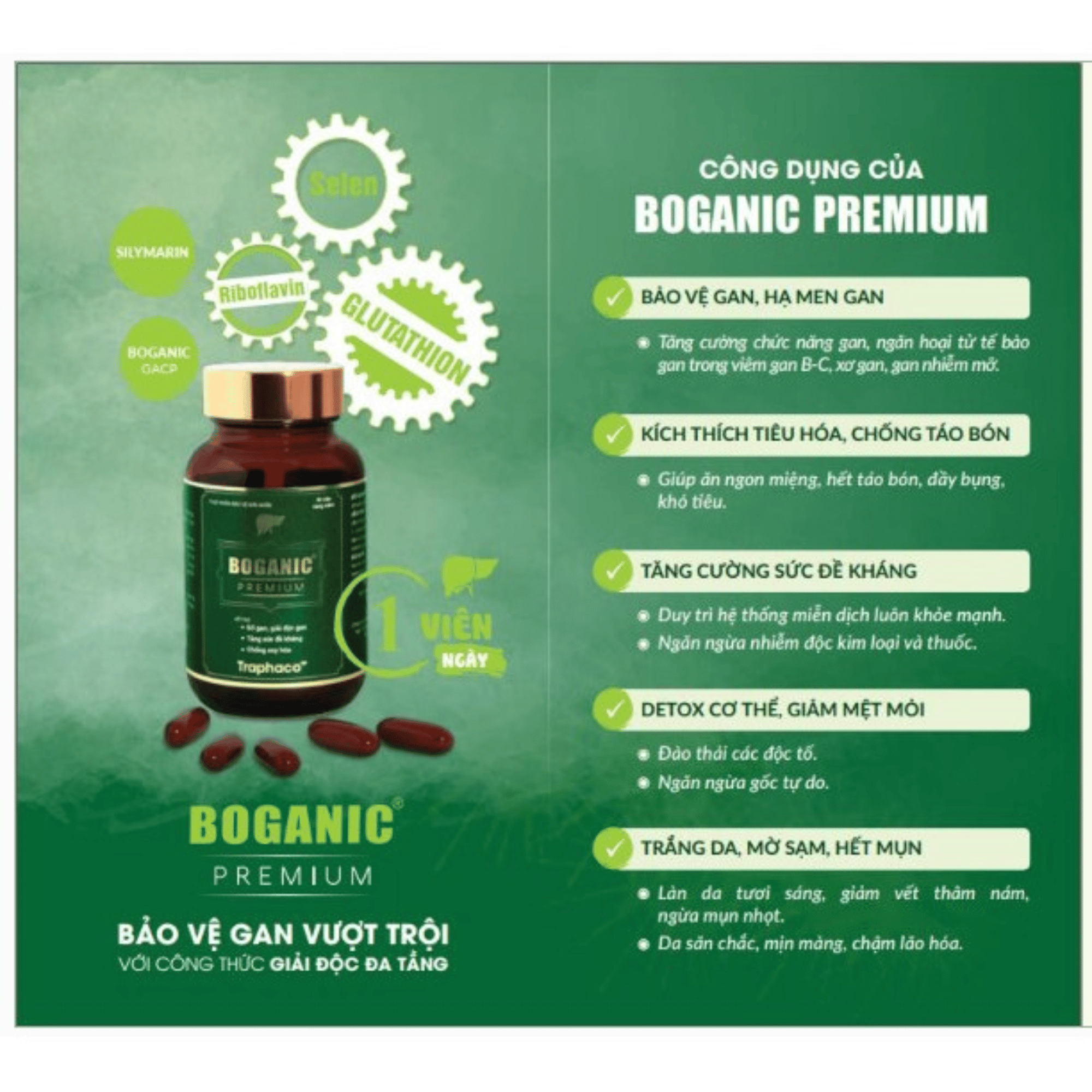 OXY Boganic Premium Traphaco Premium Liver Tonic Helps Support Liver ...
