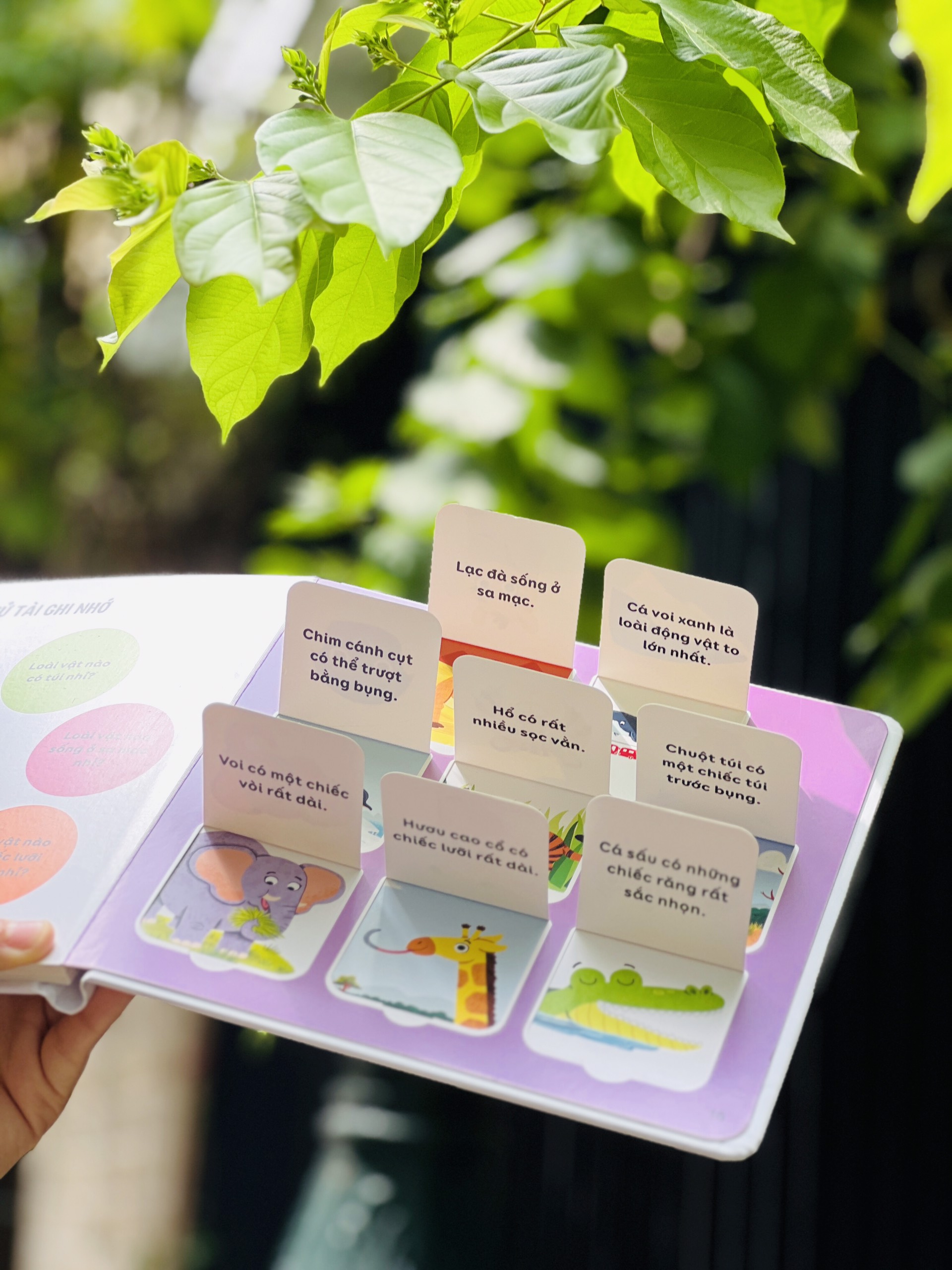 Lift The Flap Interactive Book - Lift The Flap (For children from 2 - 6 ...