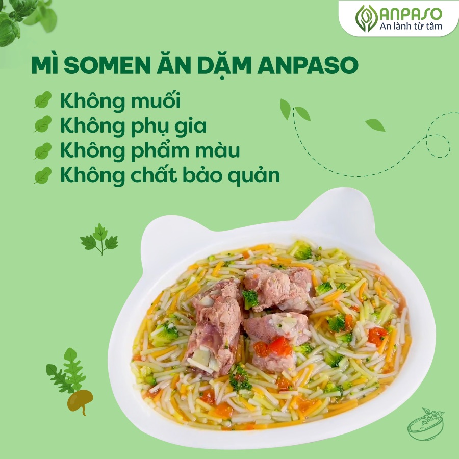 Anpaso Unsalted Somen Noodles 100g - 4 Vegetable Flavors - Safe ...