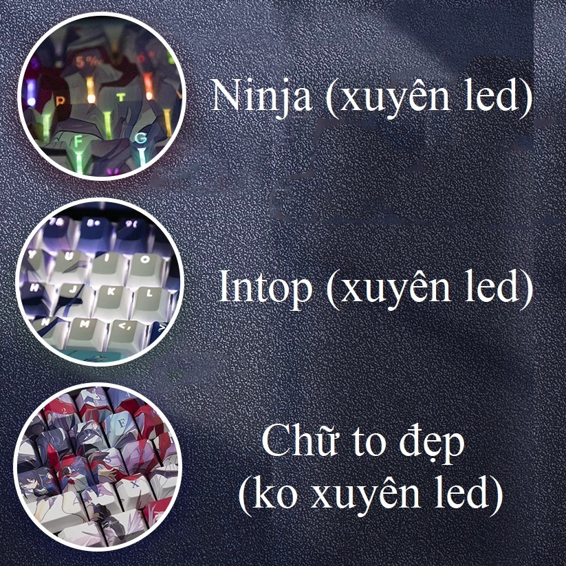 Honkai Keycap: Star Rail Castorice thick PBT through led in dyesub 5 ...