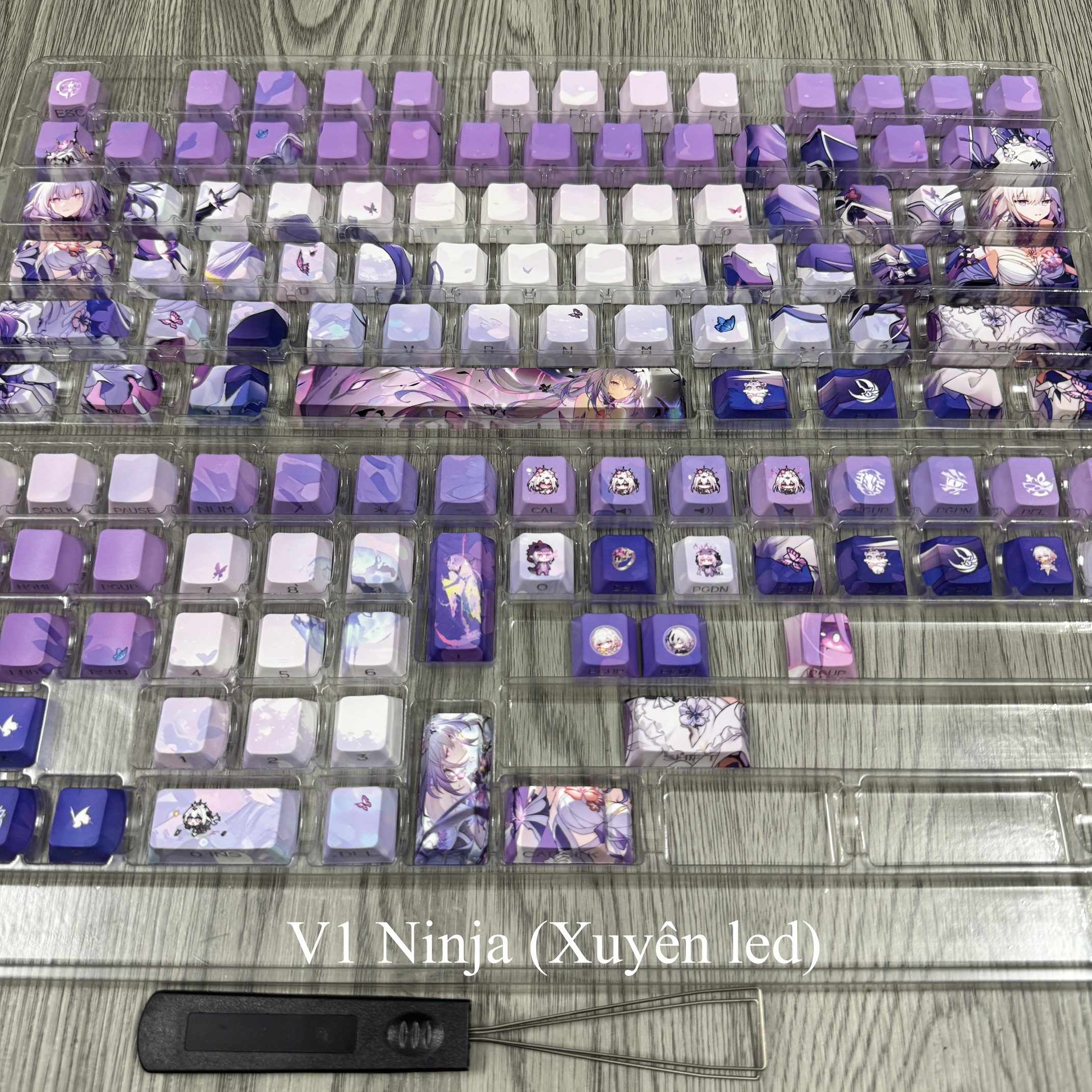 Honkai Keycap: Star Rail Castorice thick PBT through led in dyesub 5 ...