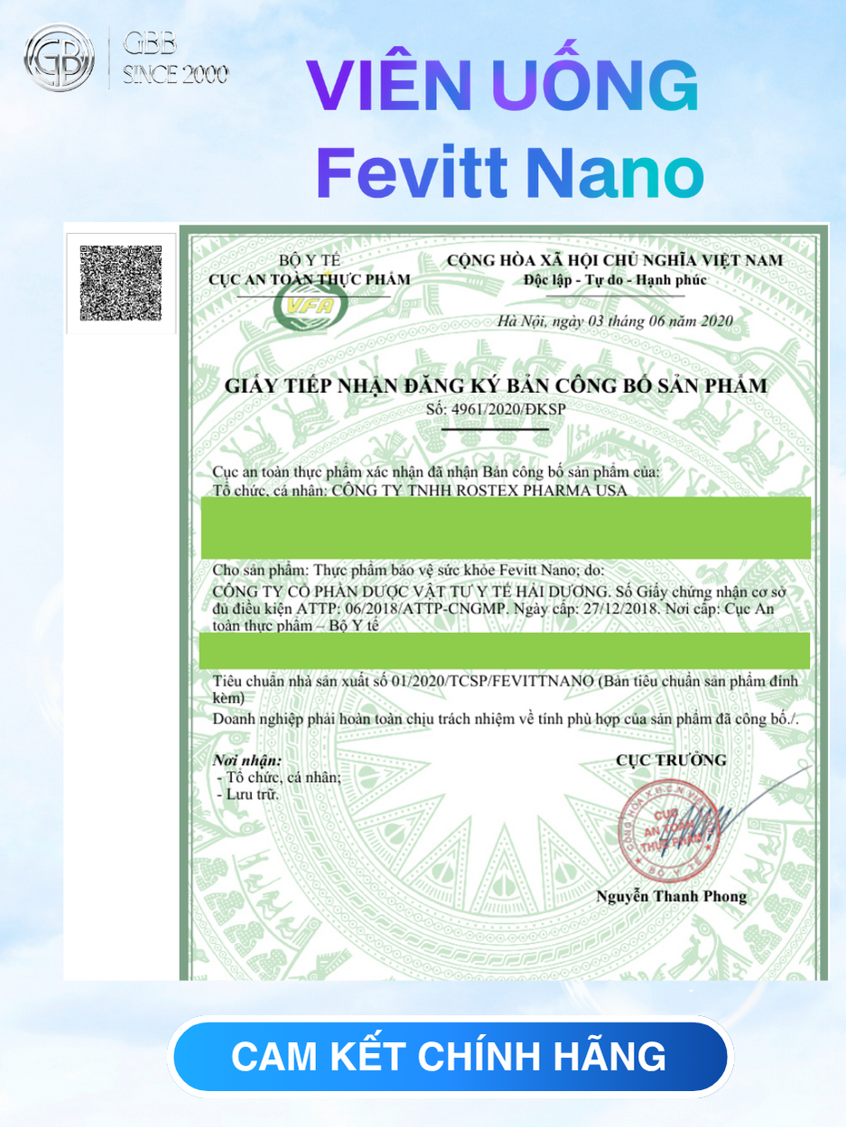 Fevitt Nano iron supplement pills nourish blood and improve anemia (Box ...