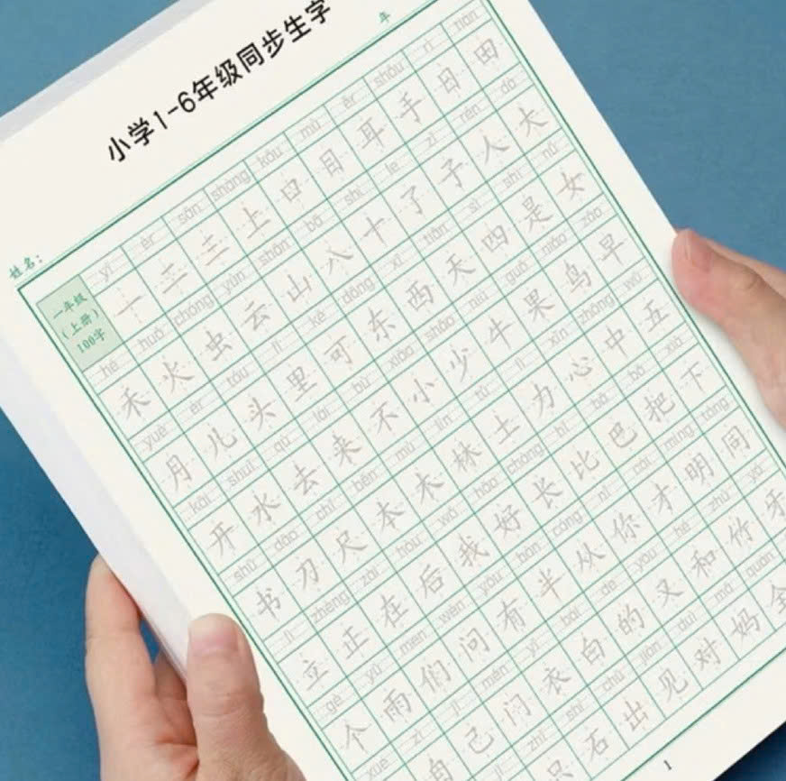 Writing Practice Notebook with 2500 Common Chinese Vocabulary (with ...