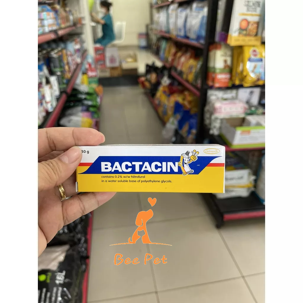 [New Model] Bactacin pet skin wound cream 30g - made in Thailand ...