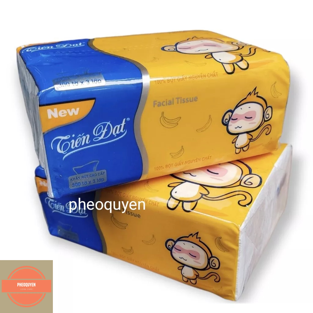 (COMBO 10 PACK) TIEN DAT RETRACT PAPER 100 SHEETS, 3 LAYERS | Shopee ...