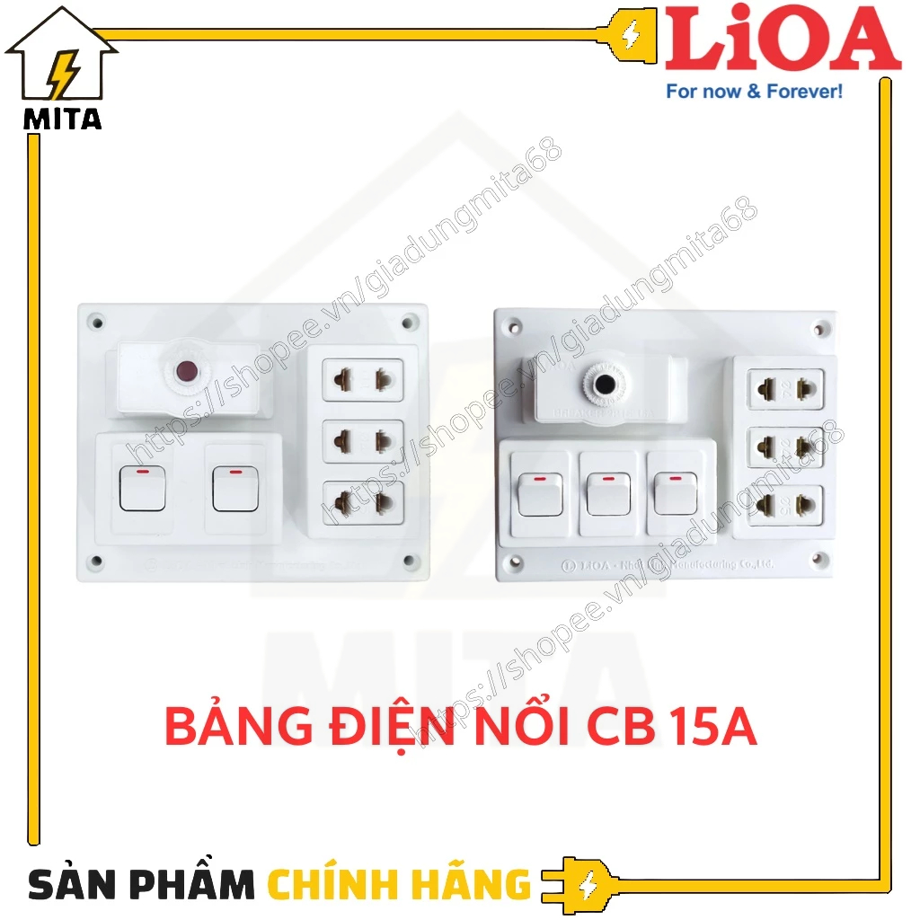 Lioa 15A Floating Electrical Panel with 3 Outlets + 2/3 Switches ...
