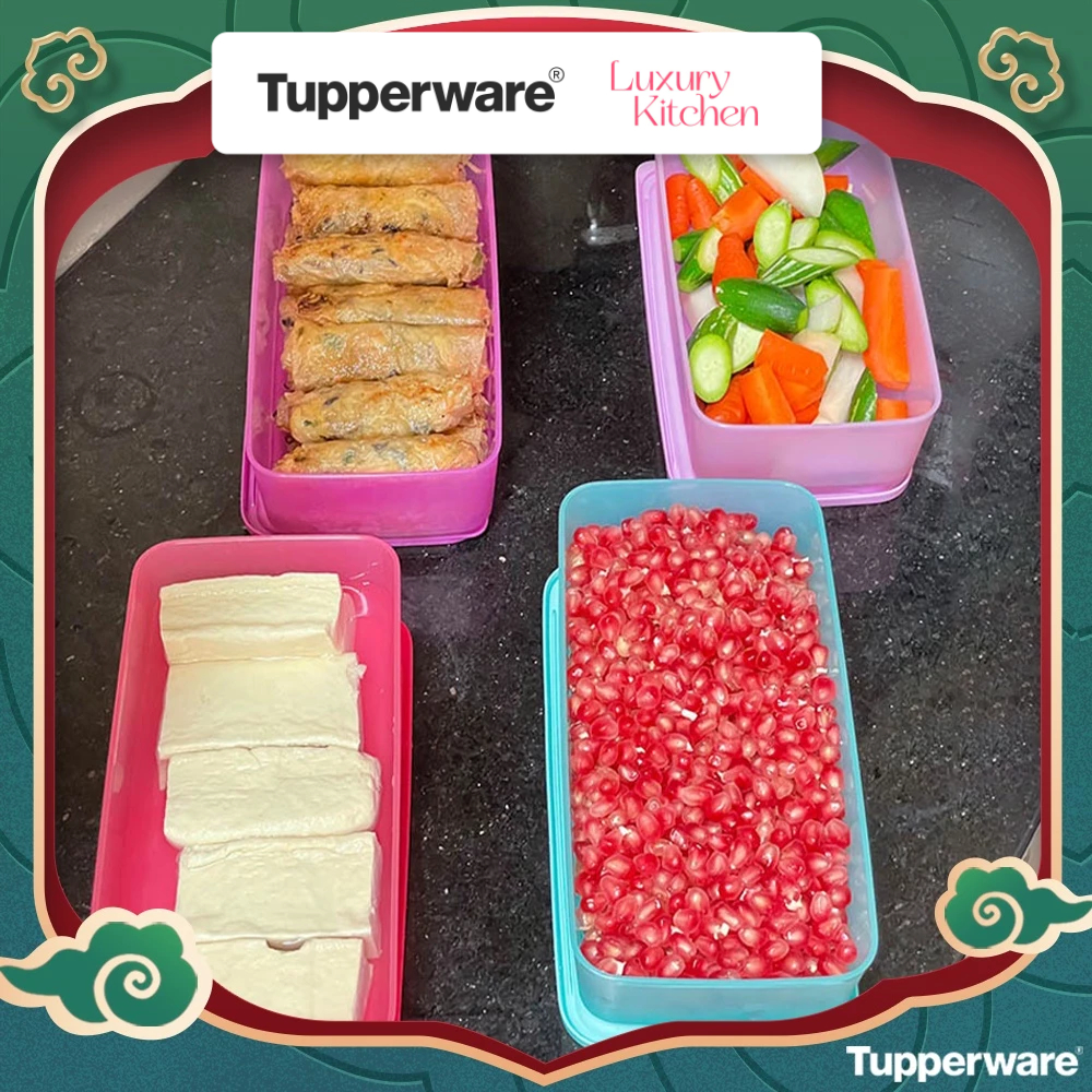 Thailand Food Box Tupper Pak N Stor - Dedicated Cool Compartment Box ...