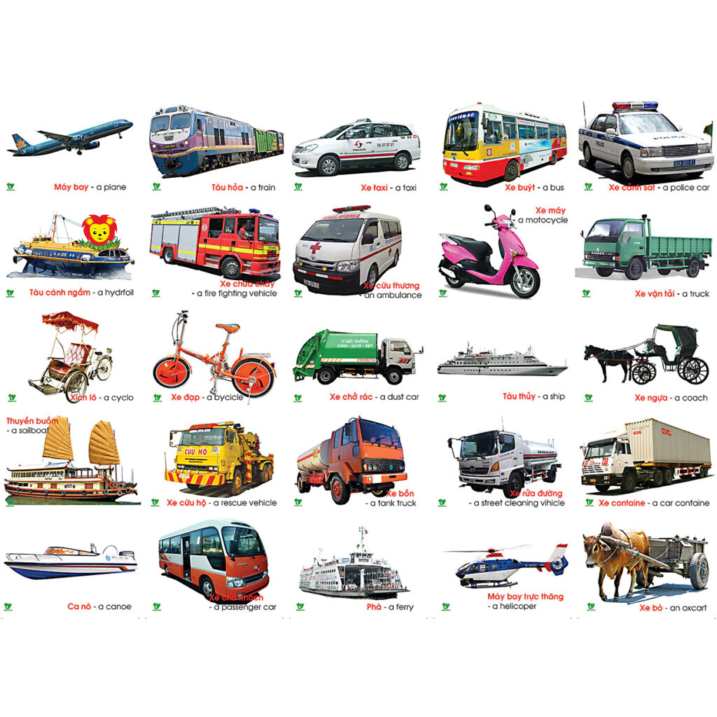 Learning cards for various types of transportation, bilingual traffic ...