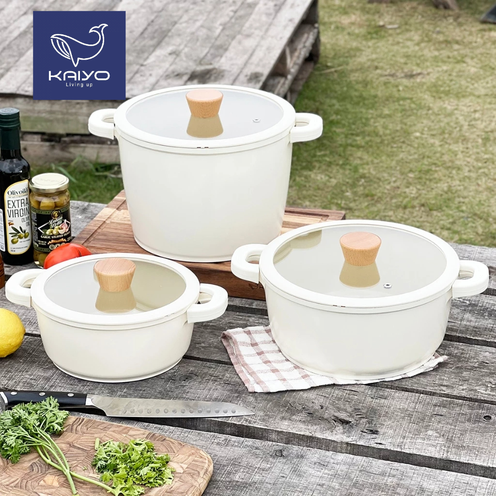 Elegant Kaiyo Ceramic Non-Stick Coated Solid Cast Aluminum Pot ...