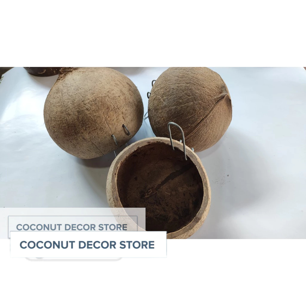 Dipper for chickens to eat and drink water | Chicken dipper | Shopee ...