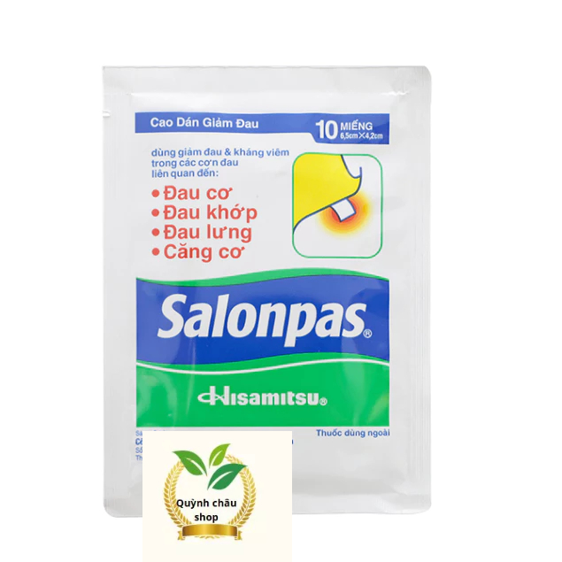Salonpas plaster (1 pack x 10 pieces) | Shopee Malaysia