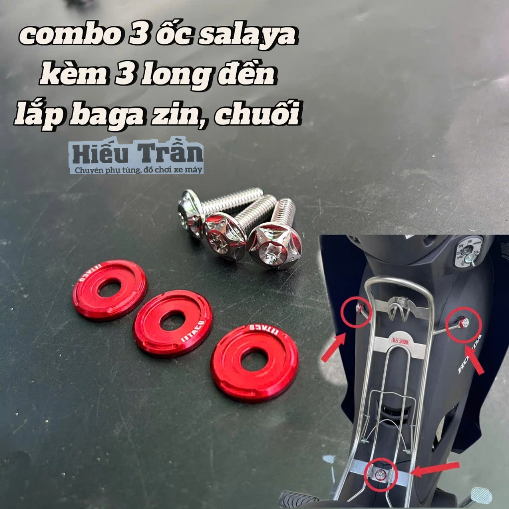 Set of 3 Salaya 304 stainless steel screws + Temple feathers to mount ...