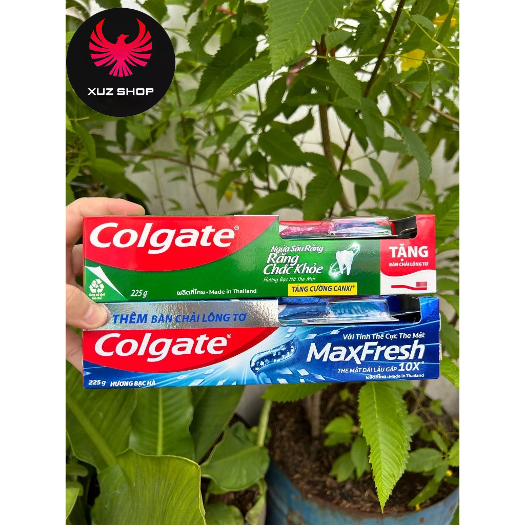 Colgate toothpaste to prevent cavities, 225g, FREE BRUSH | Shopee Malaysia